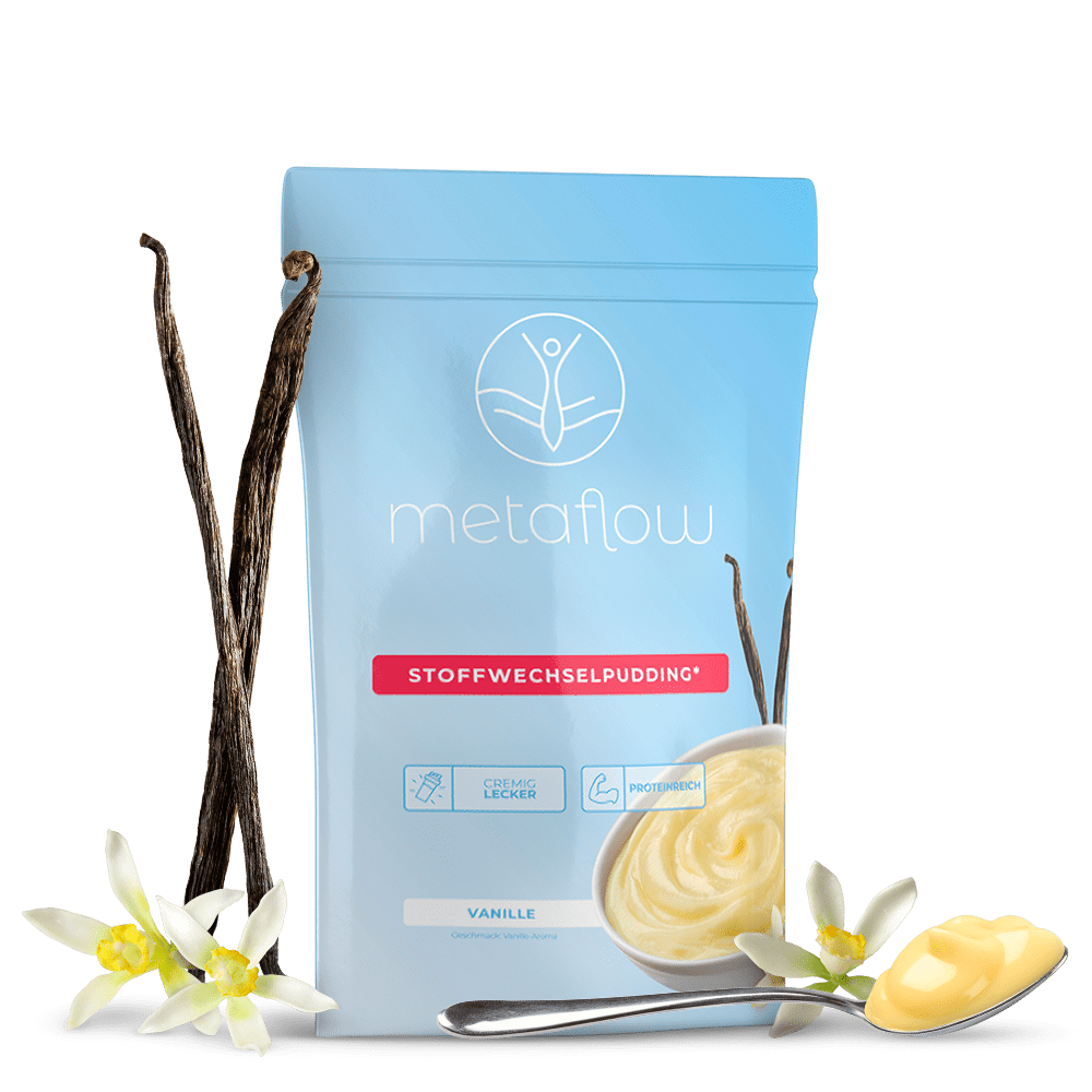 Lecker abnehmen mit dem MetaFlow Pudding